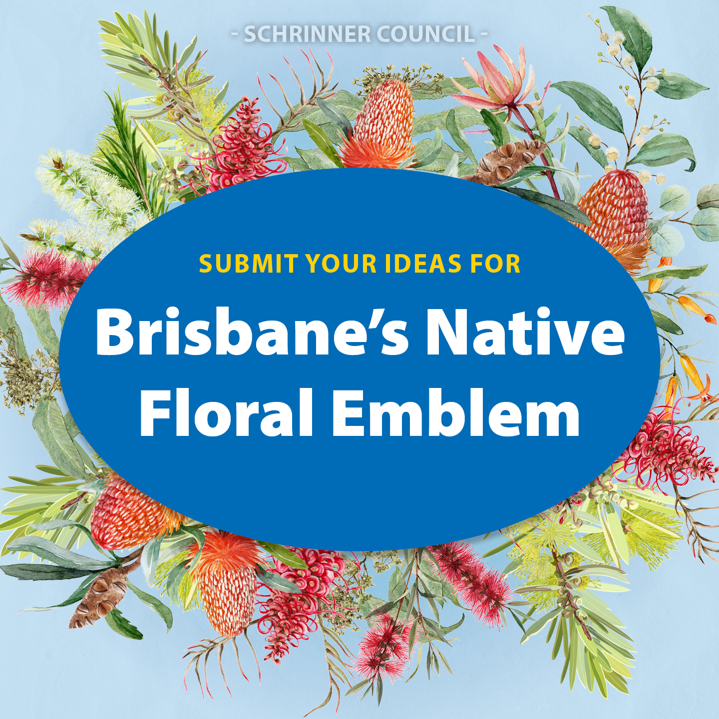 Brisbane residents pick new native floral emblem from the bunch ...