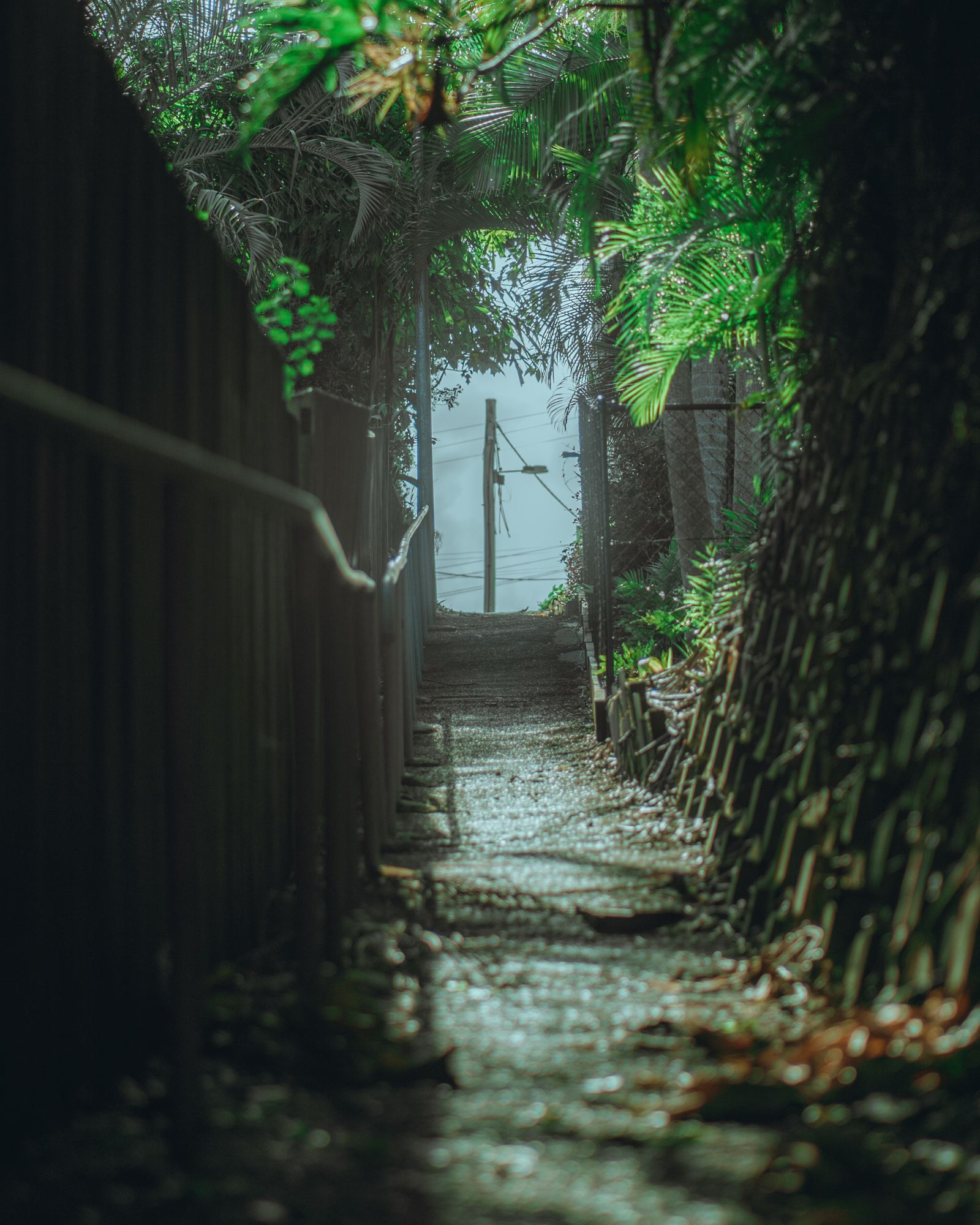 Lord Mayor's Photographic Awards crowns local photographers ...