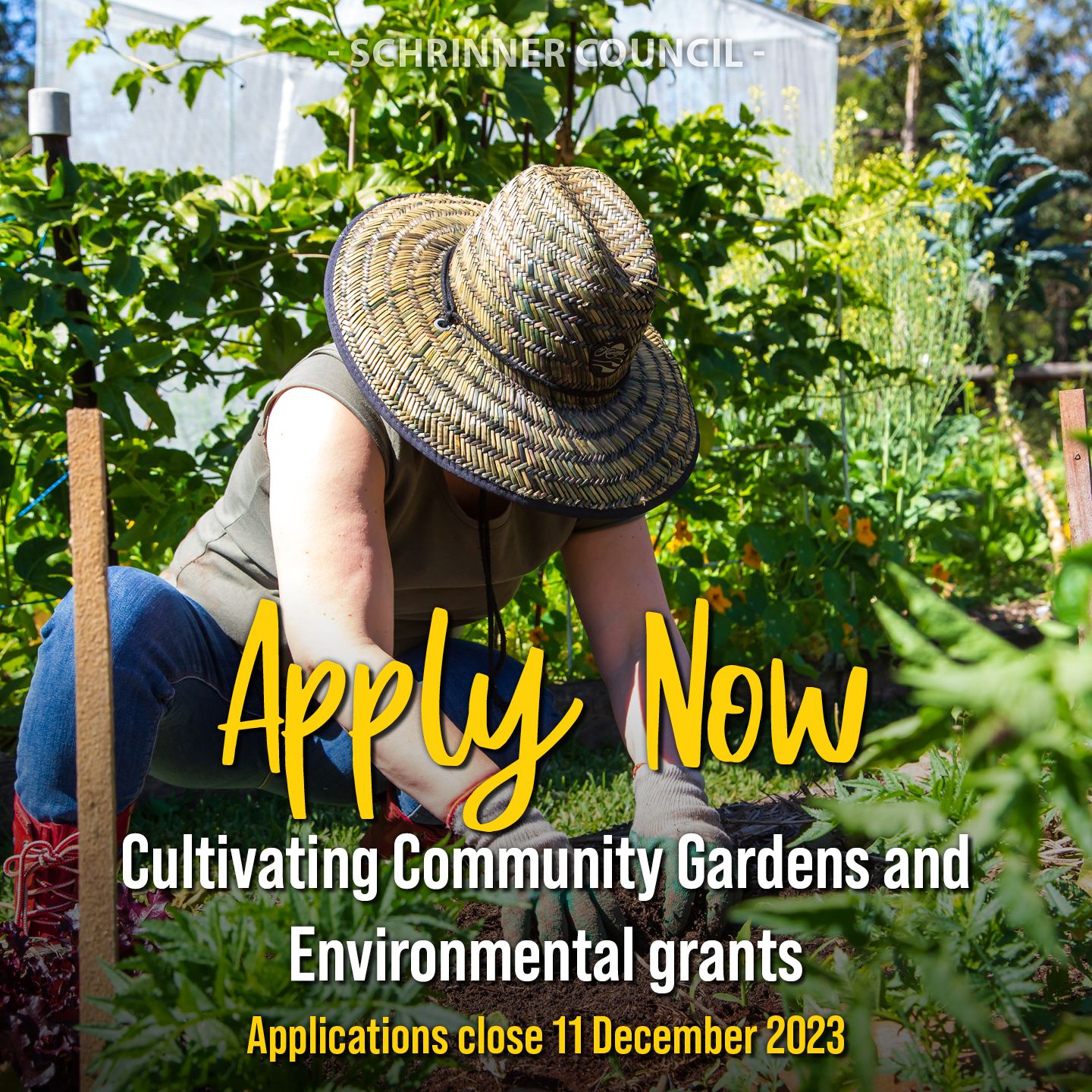 Going green has never been easier with grants up for grabs - Councillor ...